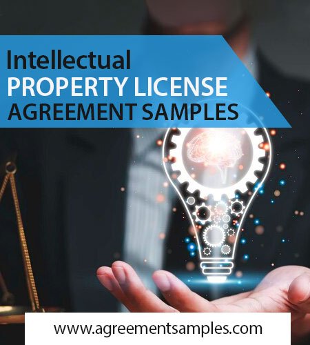 14+ Official Software License Agreements - MS Word Templates